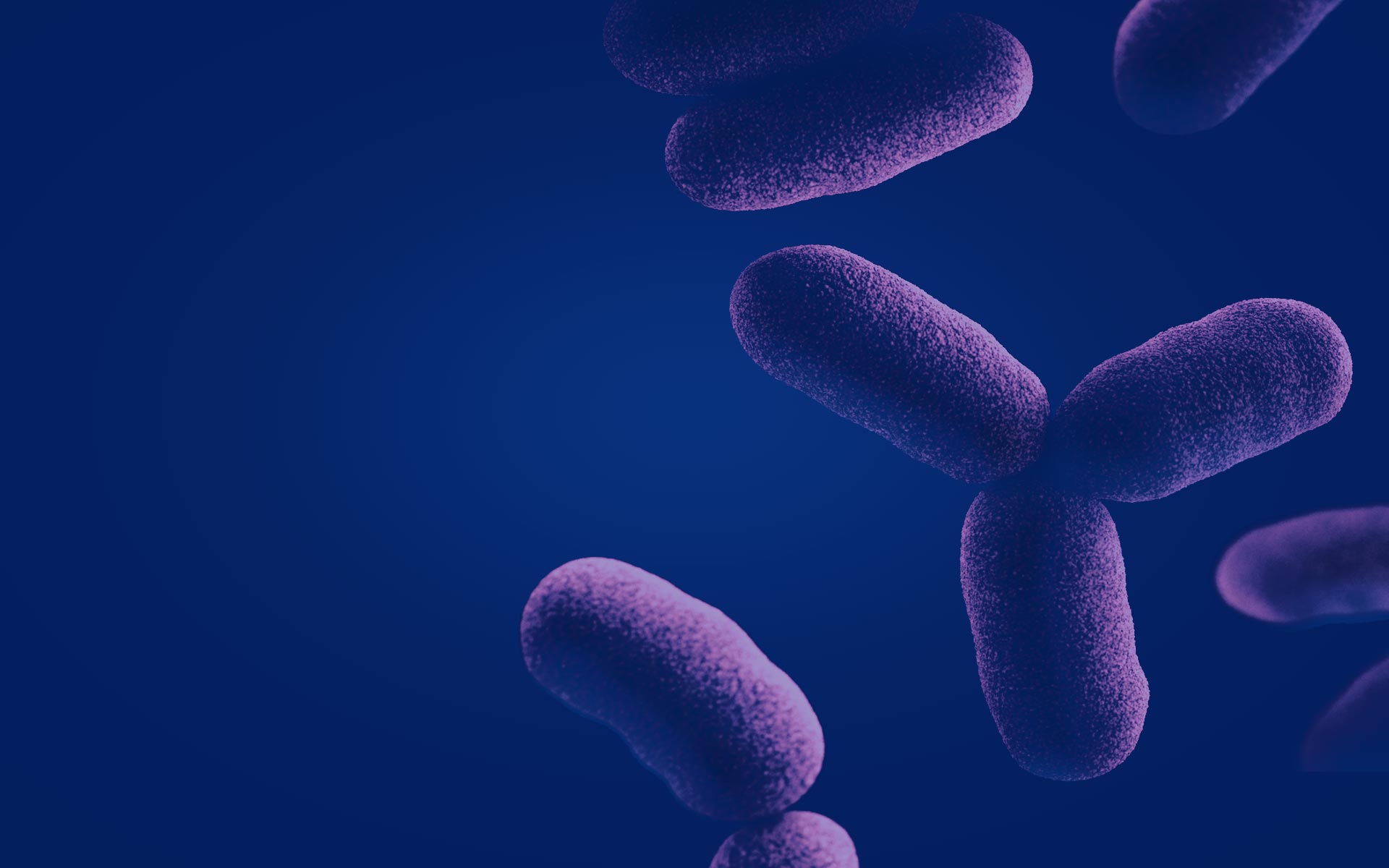 Algicam 2% Inyectable – Di Cola