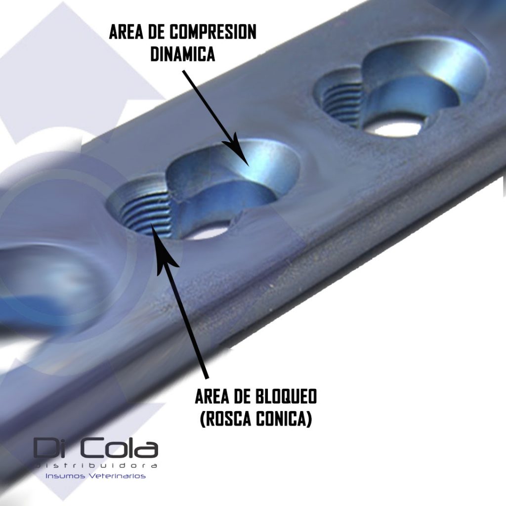 Placa Bloqueada Combi-Hole – Di Cola