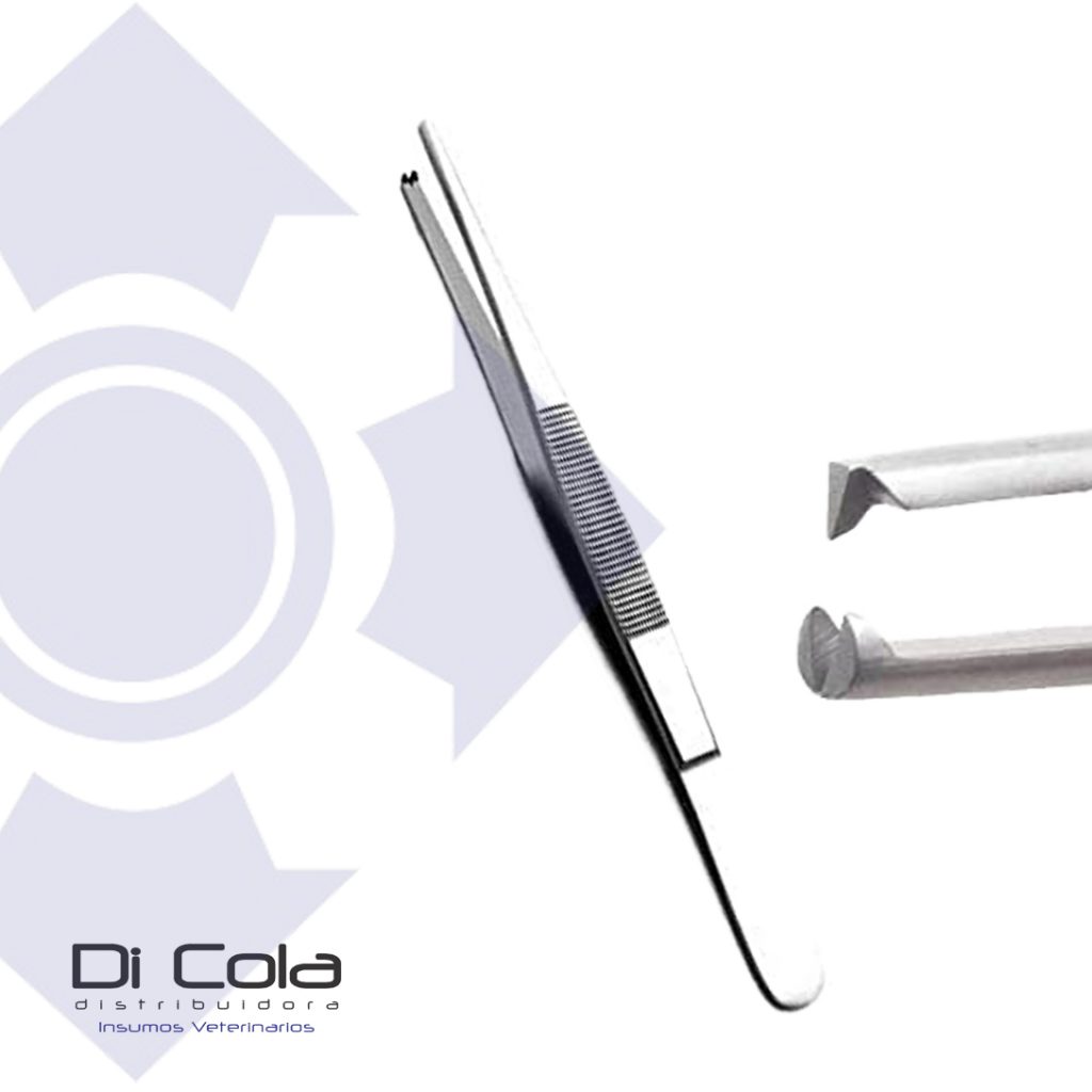 Pinza Diente de Ratón – Di Cola